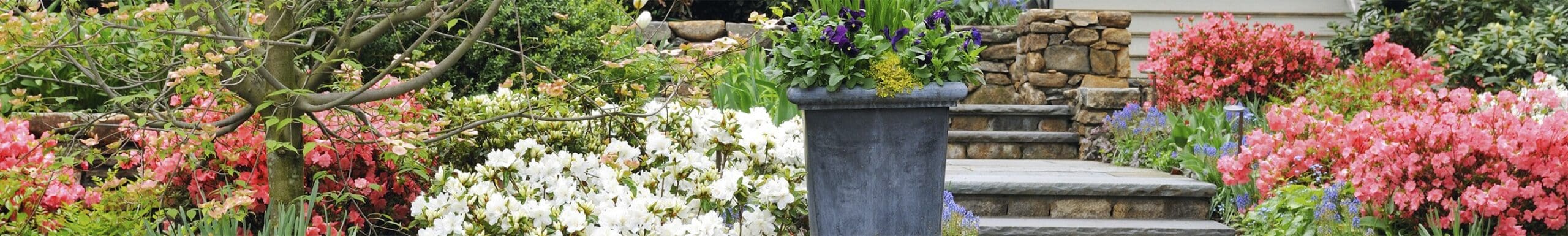 Landscape & Entryway Steps Design by Parker Landscape Design