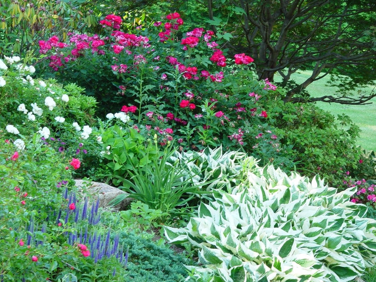 Parker Landscape Design - Blog